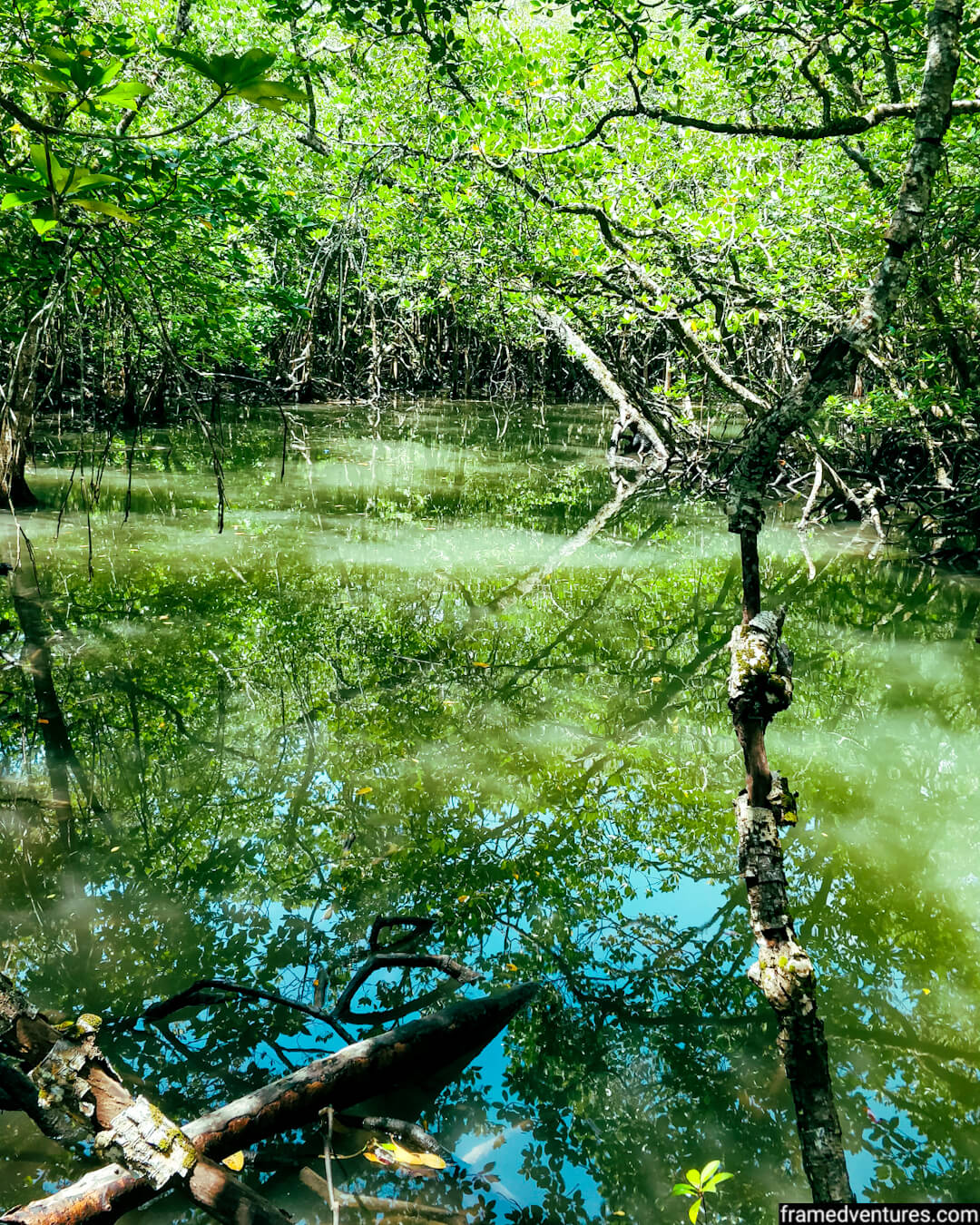 18 Exciting Places To Visit In Andaman in 2022 (+Things To Do)