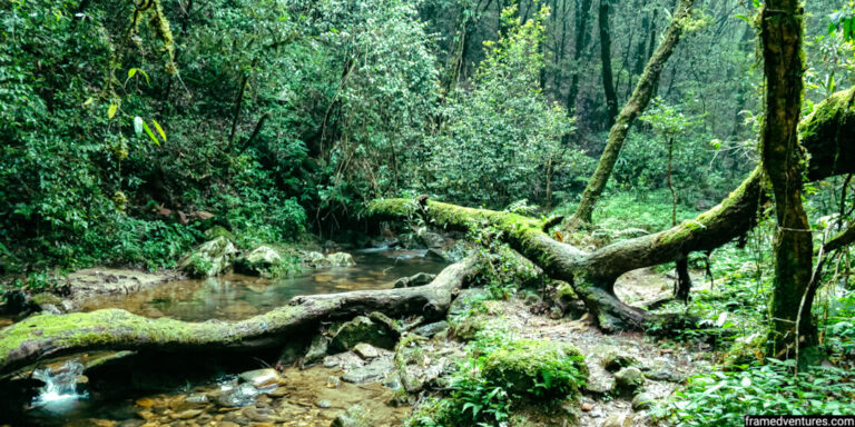 Top 15 Places To Visit In Meghalaya: A Unique Road Trip