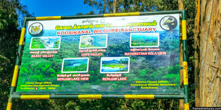12 Epic Places To Visit In Kodaikanal: A Comprehensive Guide