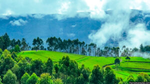 7 Vattavada Tourist Places To Visit: Hidden Paradise in Munnar